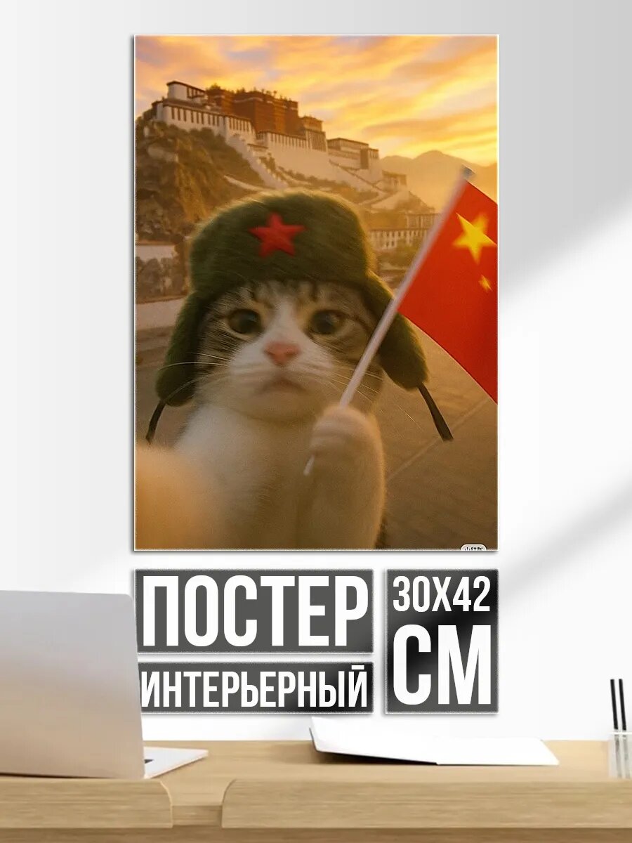 Плакат постер Кот с китайским флагом