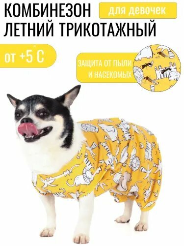 Комбинезон для собак мелких пород Yoriki Танзания девочка р. M