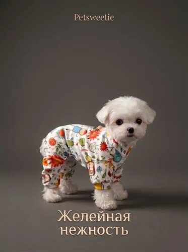 Комбинезон Petsweetie "Половина звёзд" суперэластичный, мягкий как желе, для собак любой комплекции