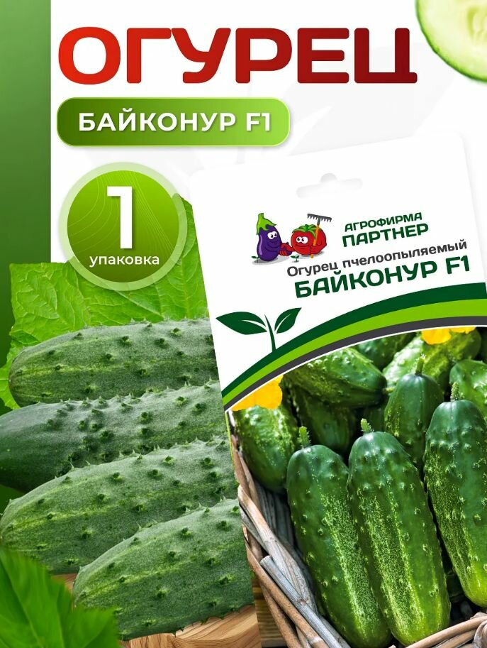 Семена огурцов Байконур