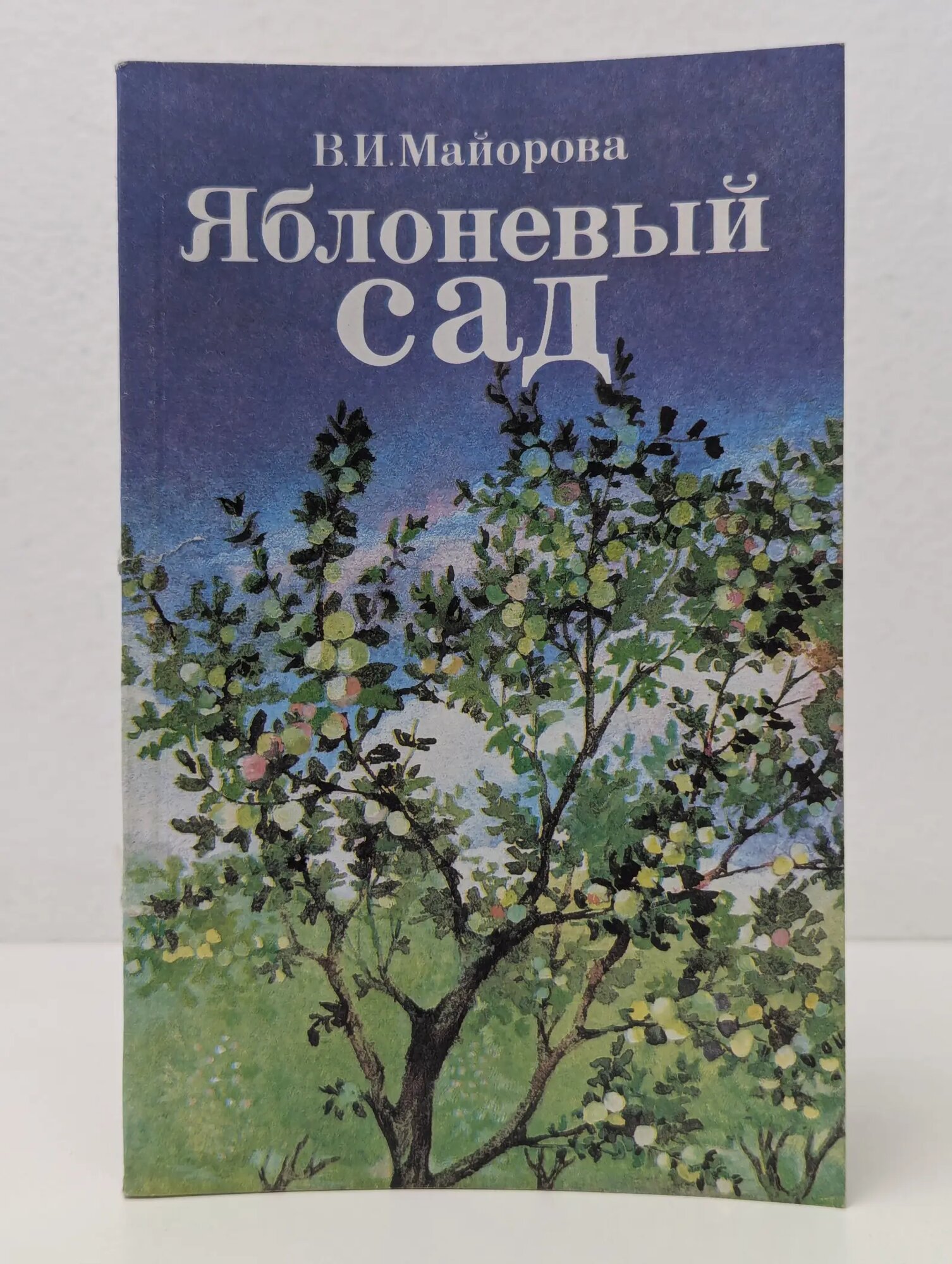Яблоневый сад Майорова Валентина Ильинична 1990