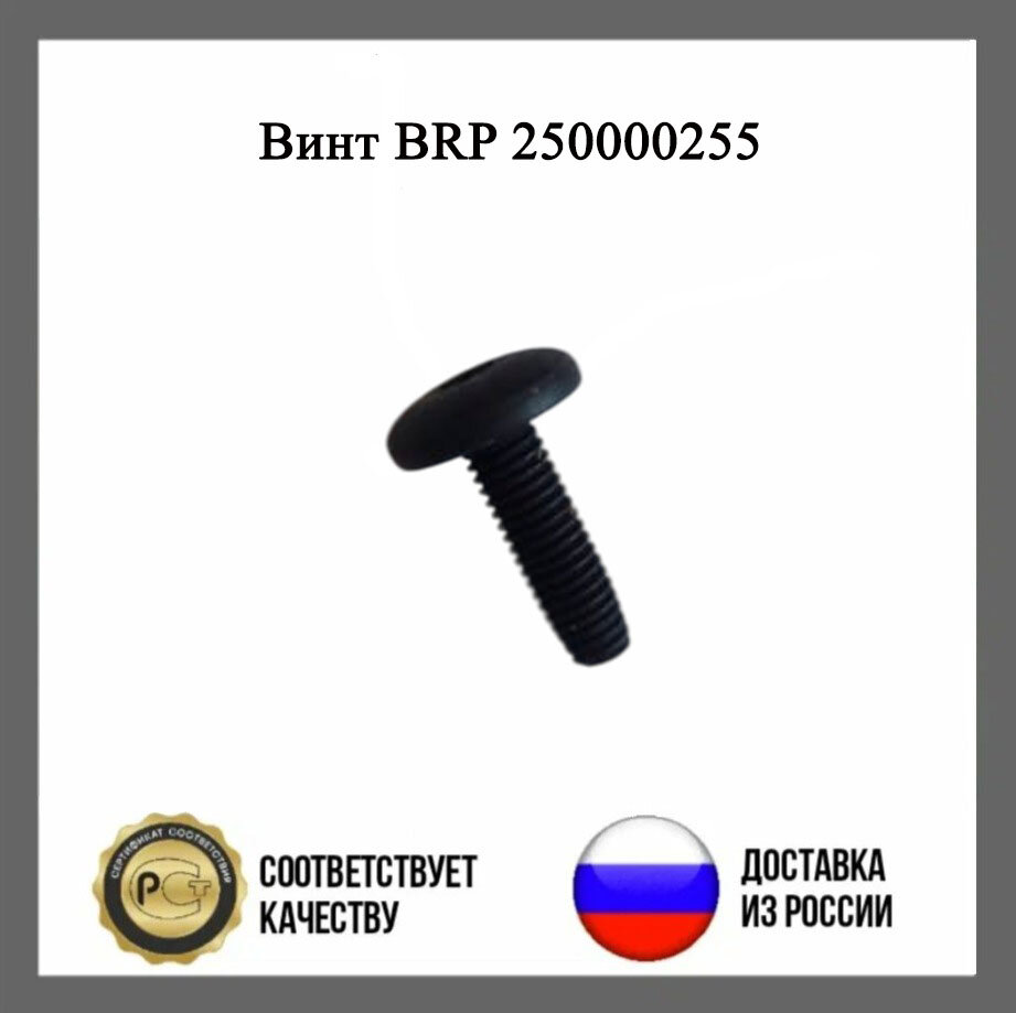 Винт BRP 250000255