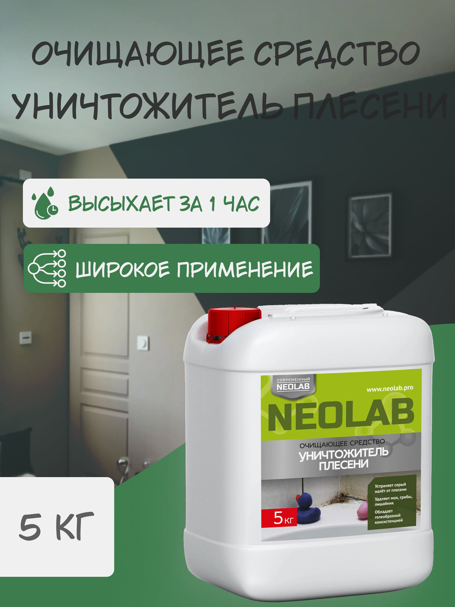 NEOLAB , Уничтожитель плесени , 5 кг