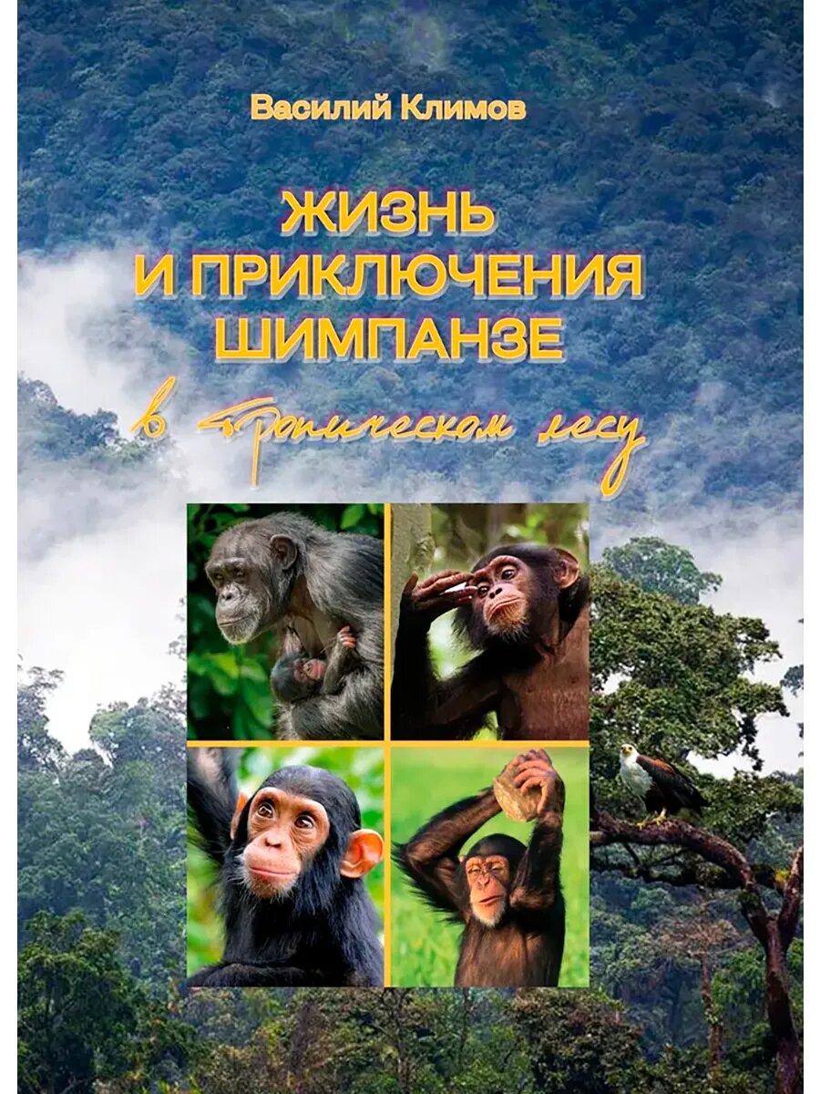 Жизнь и приключения шимпанзе в тропическом лесу