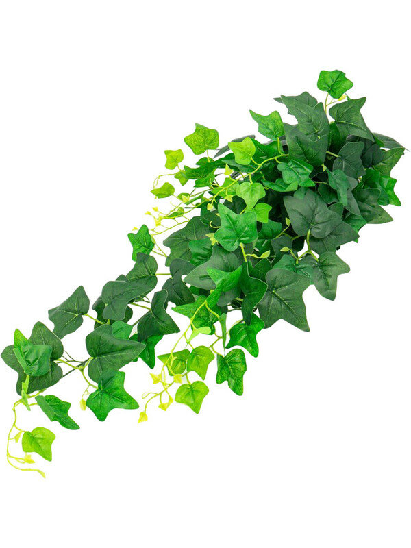 Куст плющ, 90см, 9 веток, подвесной, зеленый