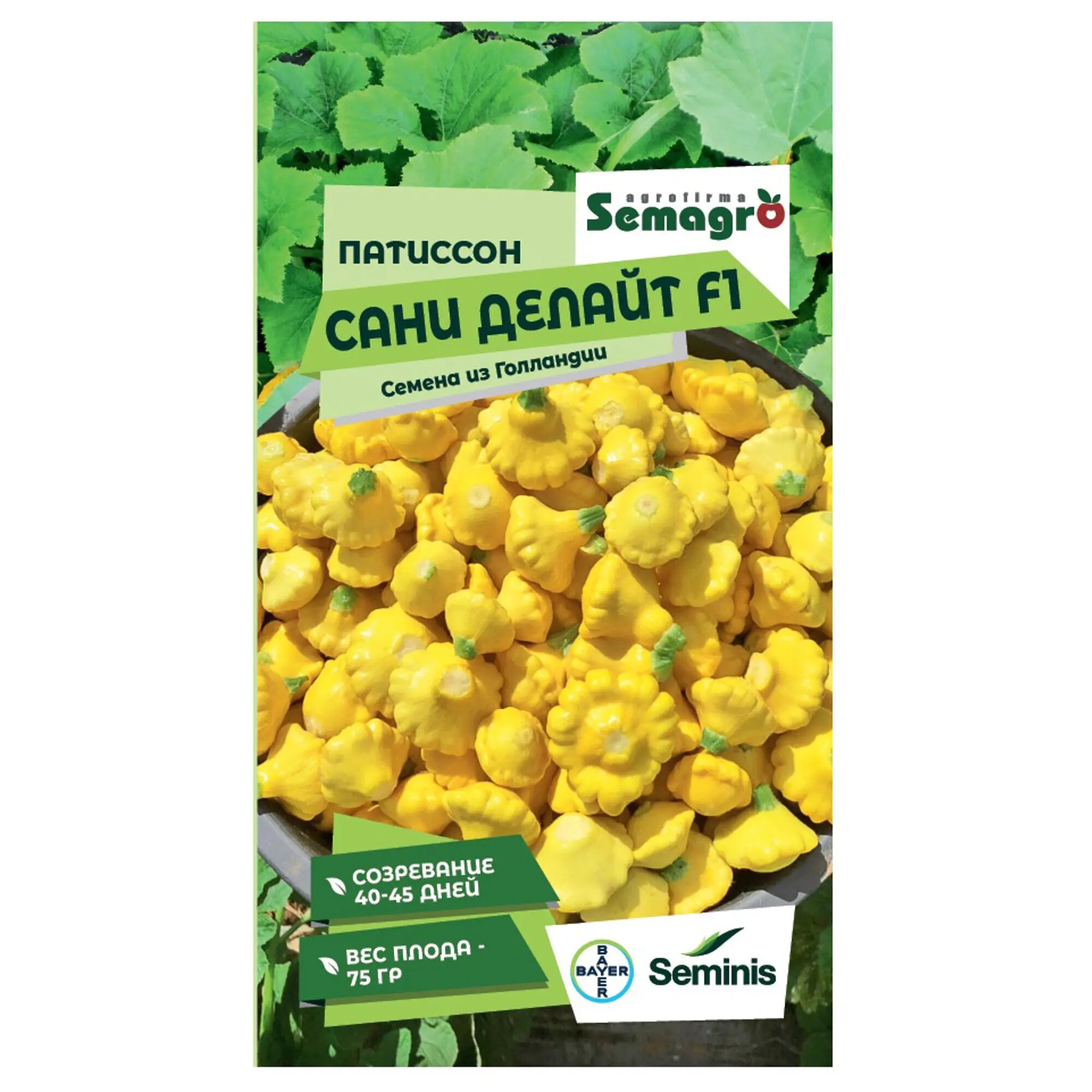 Seminis патиссон F1 Сани Делайт, семена патиссона овощного гибрида раннего срока