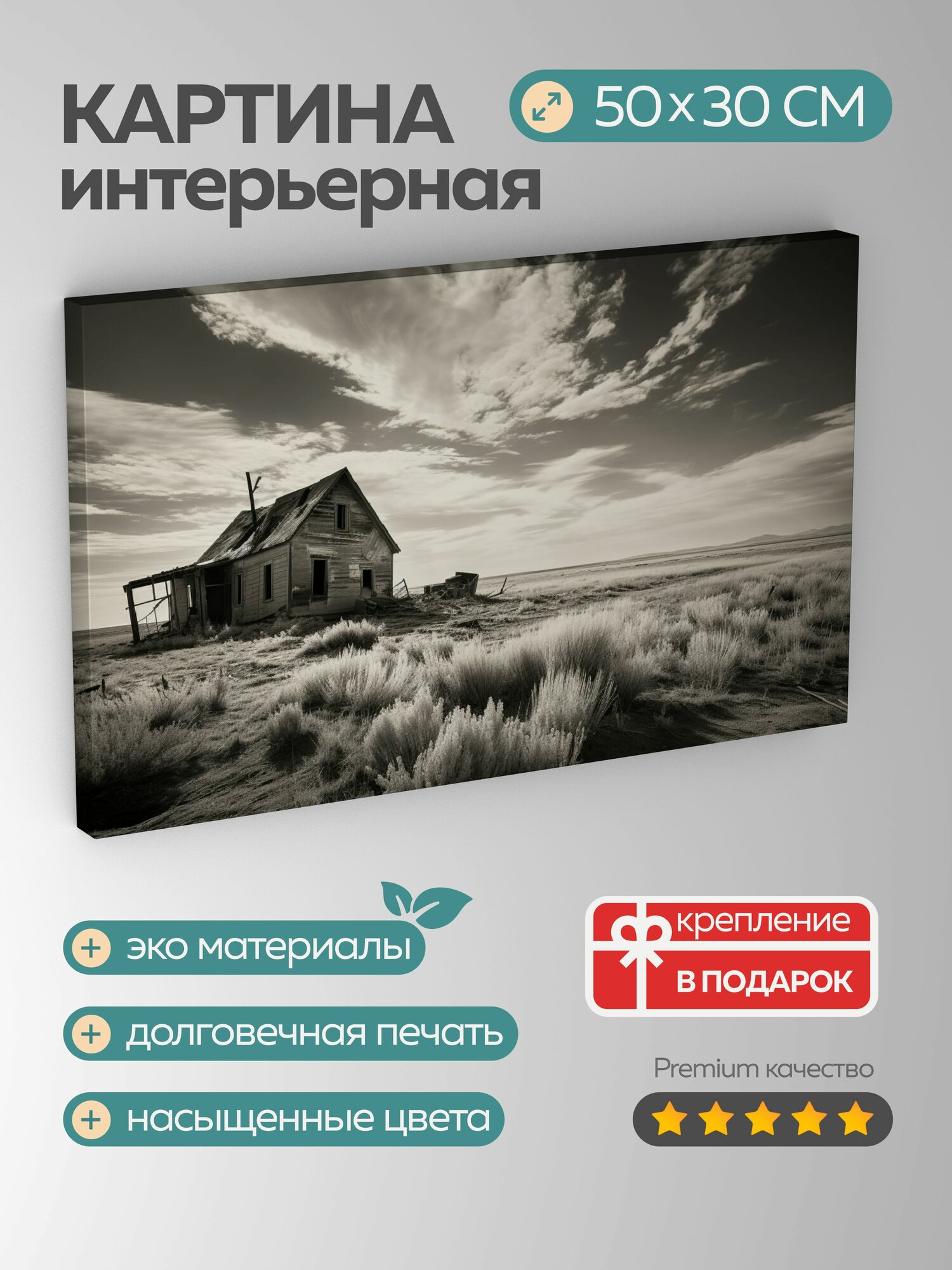 Картина на холсте интерьерная 50х30 см, черно-белая фотография, заброшенный дом, полуразрушенный дом, пустынный пейзаж