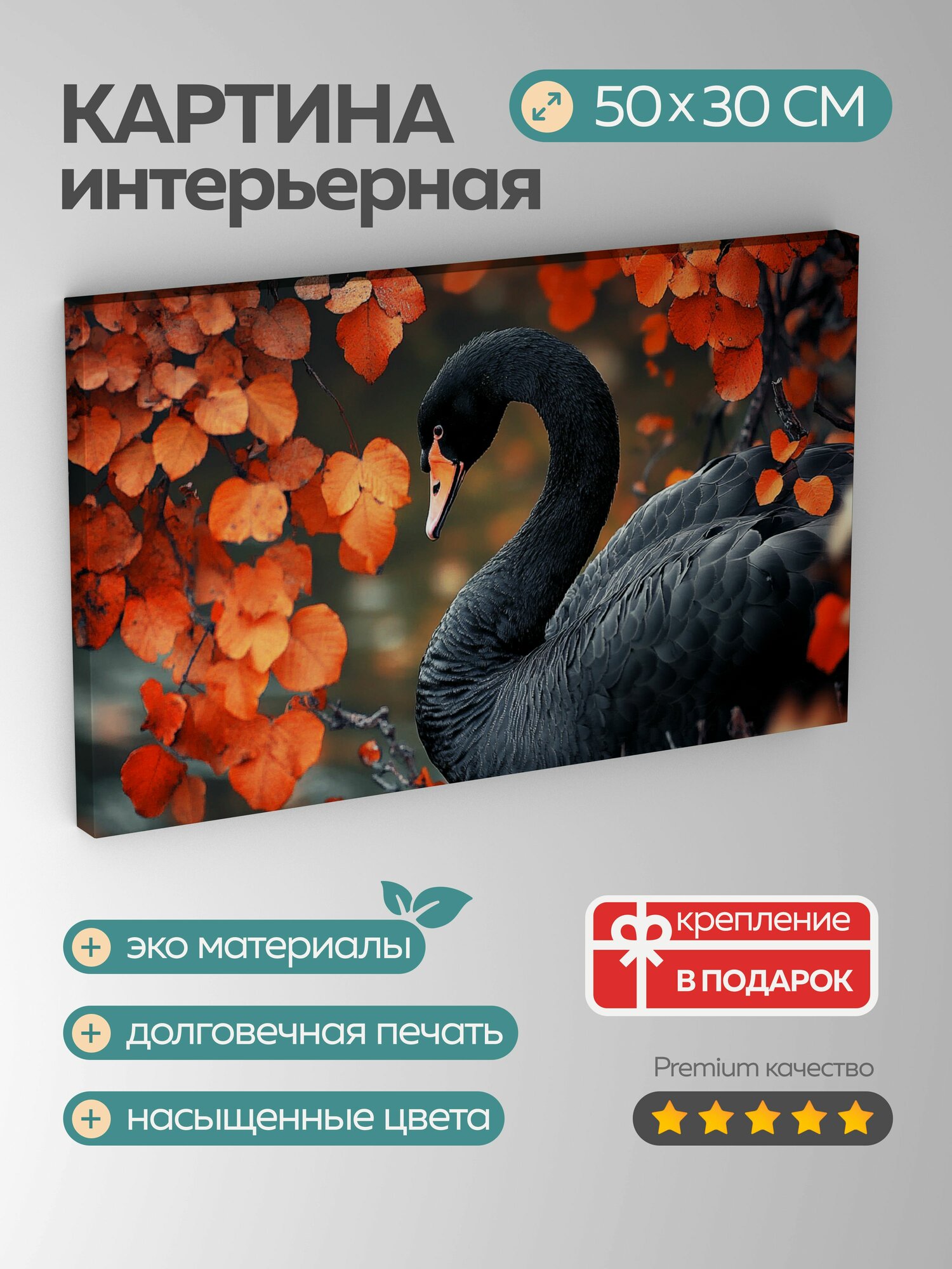 Картина на холсте интерьерная 50х30 см, Черный лебедь, осенняя листва, высокое разрешение, тонкая шея, контраст