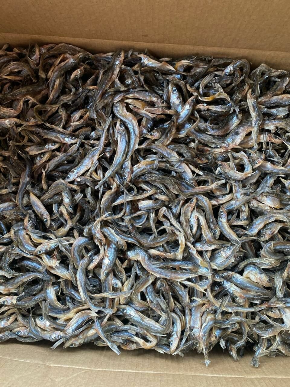 Корюшка Ладожская мелкая вяленая 1кг