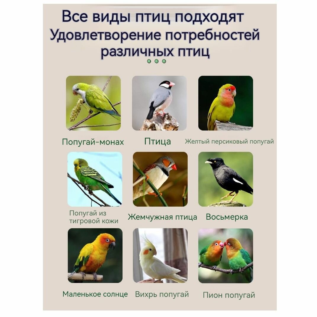 Жердочка — фото 1