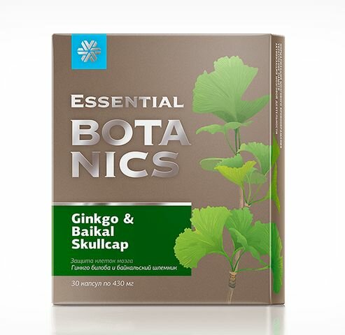 Гинкго билоба и байкальский шлемник для дополнительной поддержки функций памяти и мышления