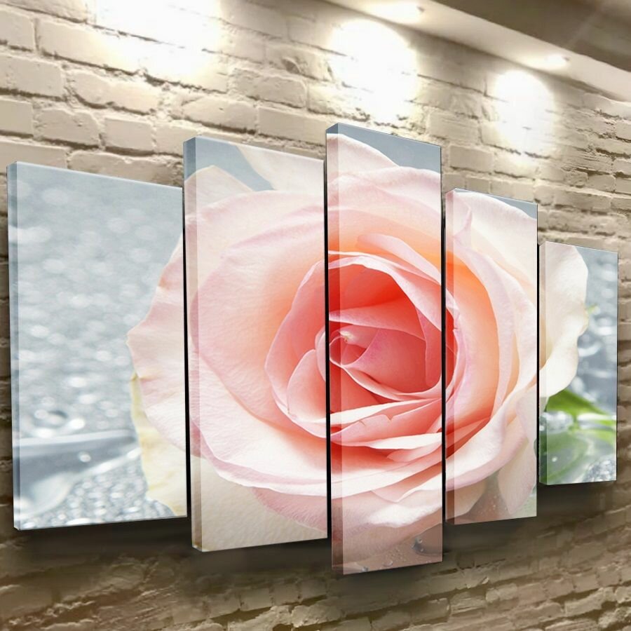 Модульная картина modul007 на стену "Нежная роза" из 5 модулей 140х80 см для интерьера комнаты на подрамнике