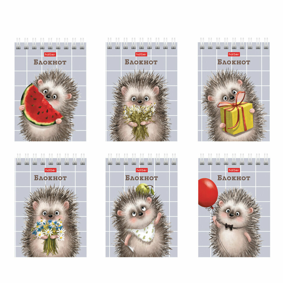 Блокнот малый формат А7, 40 л, гребень, картон, клетка, HATBER, "Хорошо быть ёжиком", 081183, 40Б7В1гр, 117654