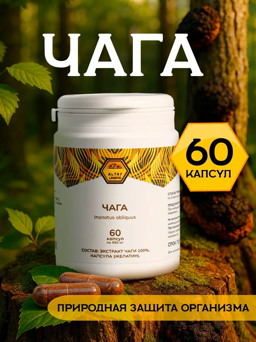Чага в капсулах 60 штук Легенда Алтая