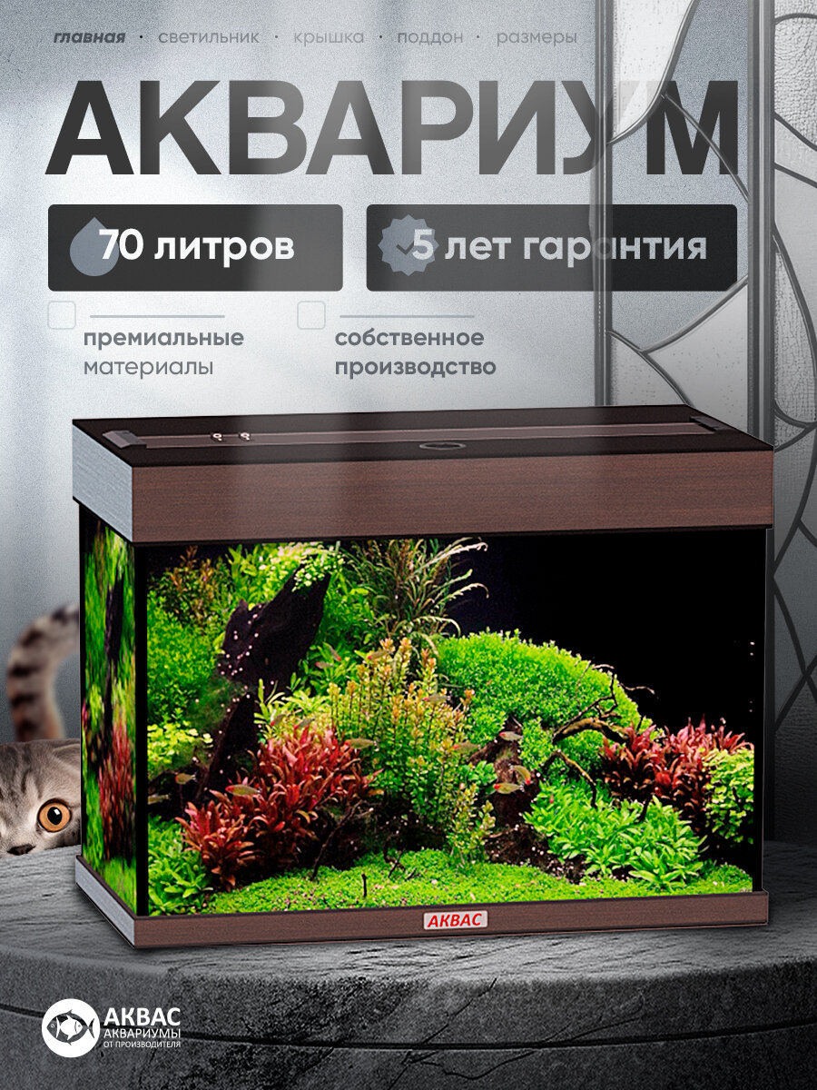 Аквариум 70 литров с крышкой и освещением, (61*31*46 см) Аквас