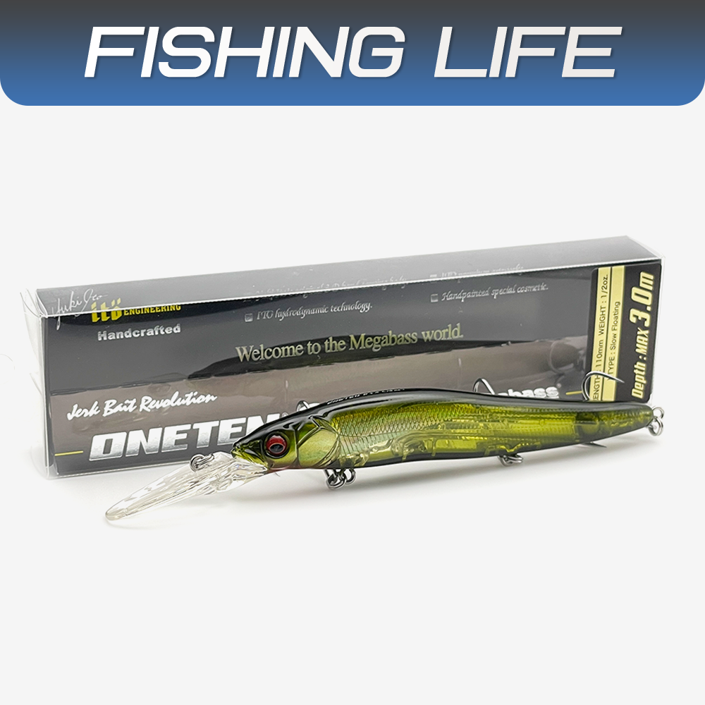 Воблер Megabass ONETEN R+2 (110мм, 14гр, slow floating) - TINY WAKASAGI