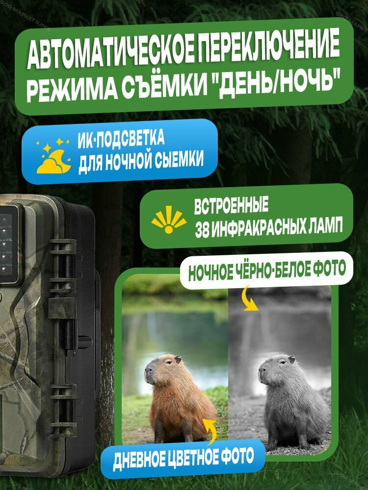 Фотоловушка — фото 1