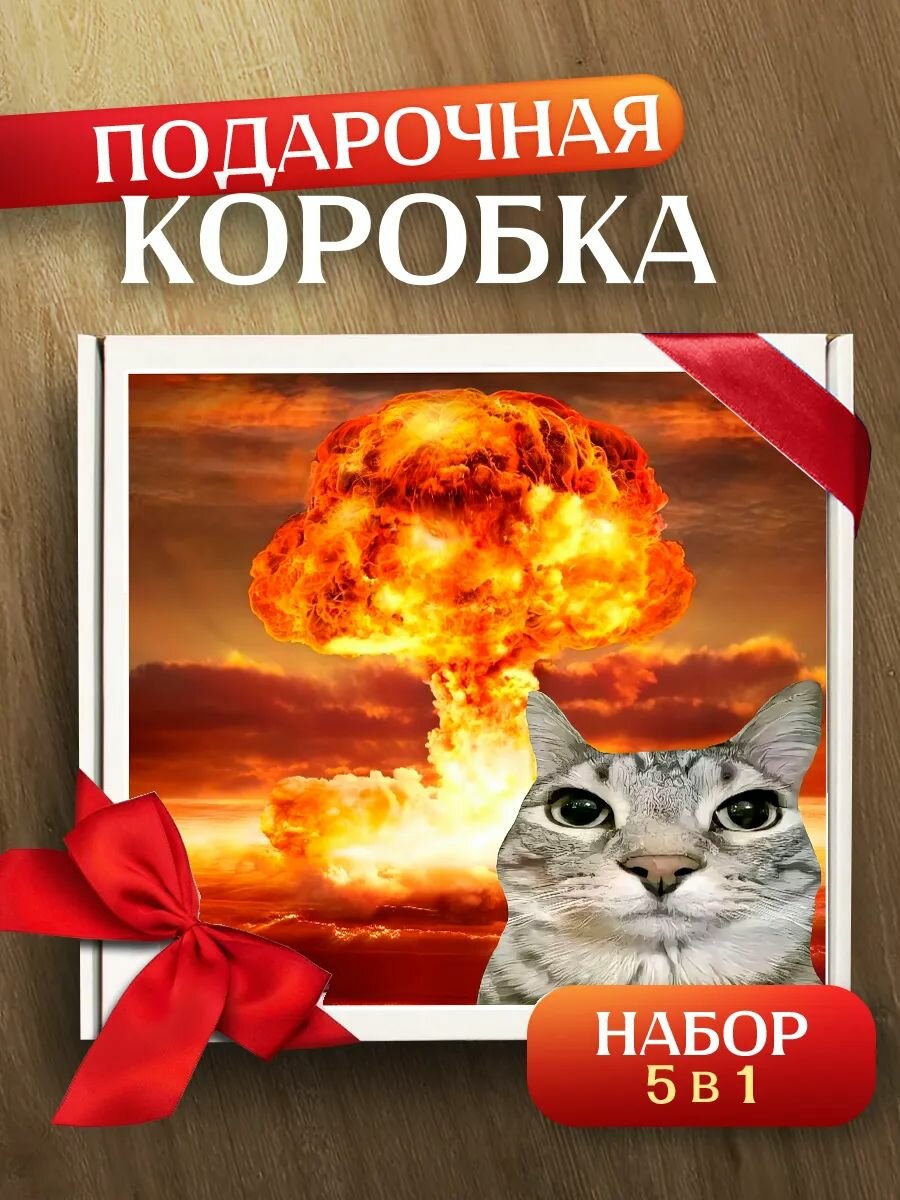 Подарочная коробка "Котики мем", 23x10x22 см, с наполнителем, для упаковки подарка, картонная, упаковка для подарка
