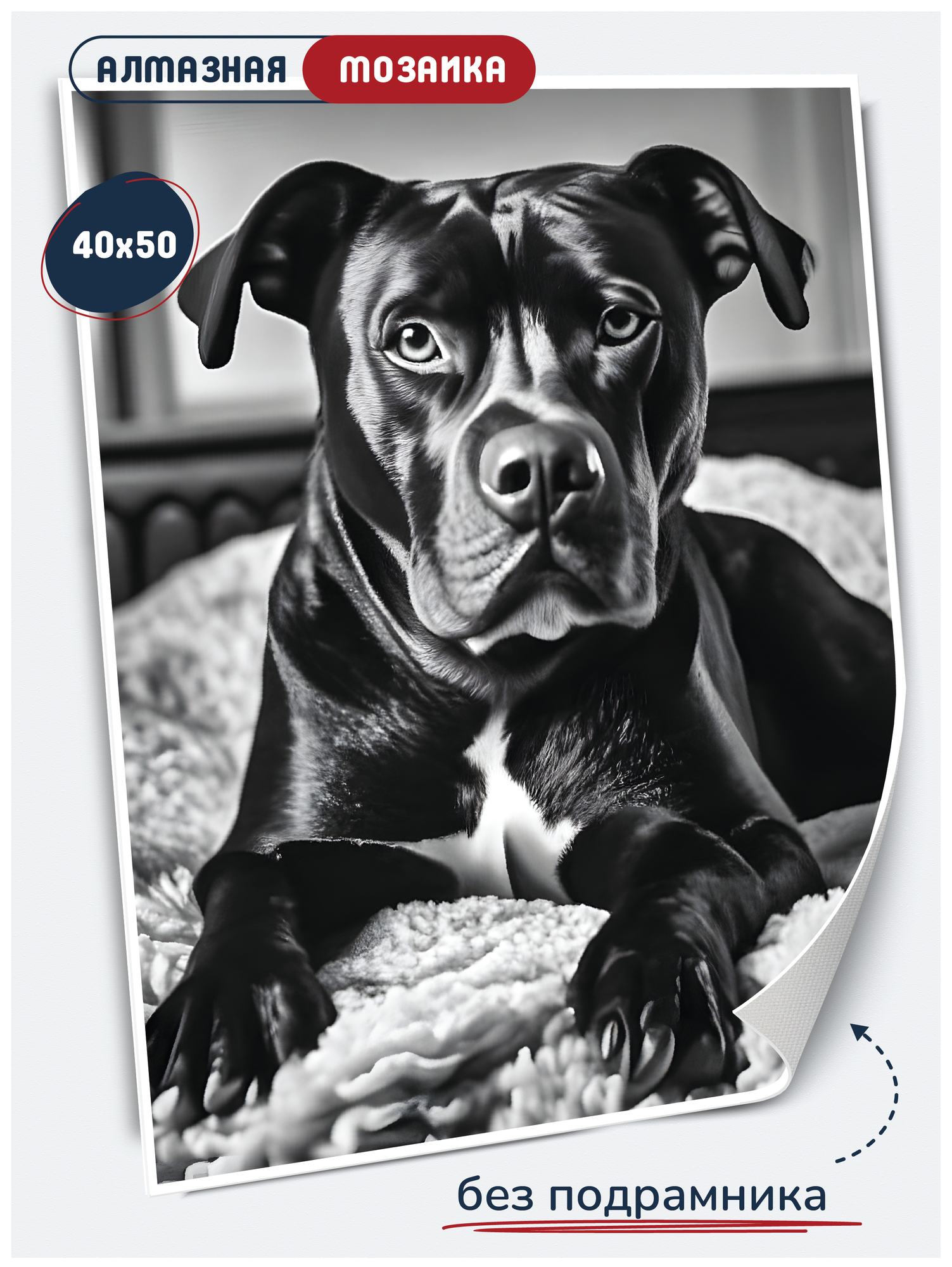 Алмазная мозаика без подрамника "Бультерьер" 40х50 Полная выкладка
