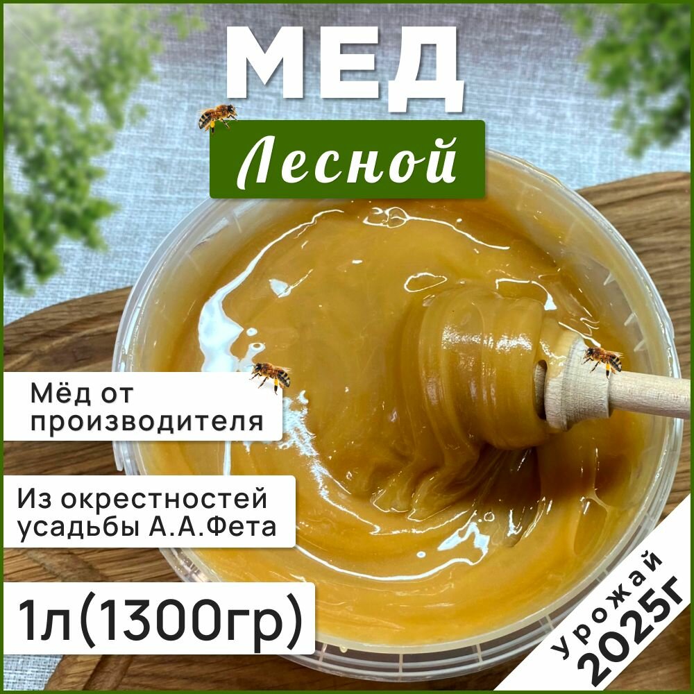 Мед лесной 1 литр(1300 грамм) натуральный мед 2025 г