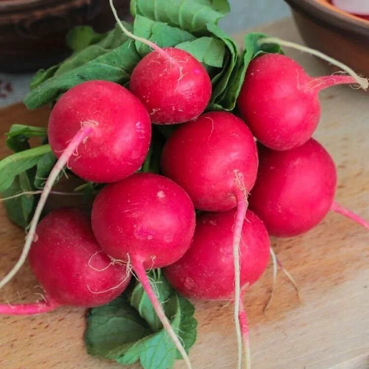 Коллекционные семена редиса Вена