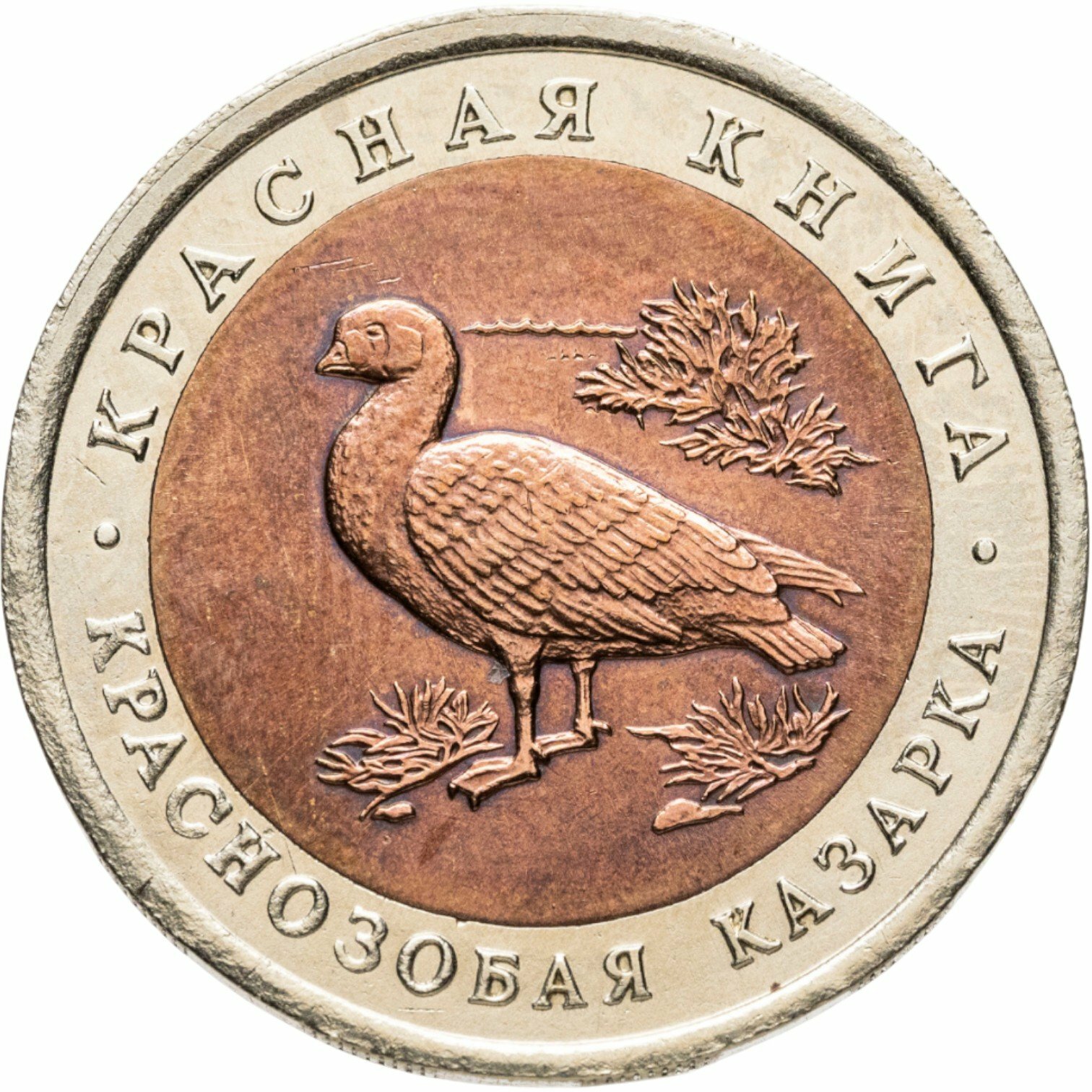 10 рублей 1992 ЛМД краснозобая казарка, Биметалл, в сохранности XF-AU