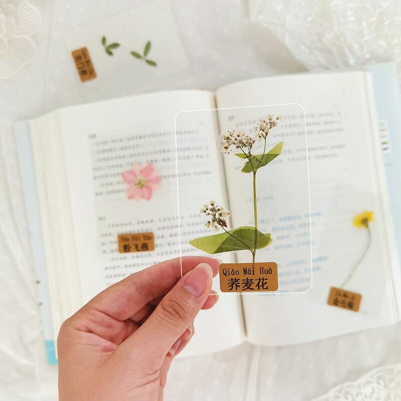 Настоящий четырехлистный клевер, амулет, приносит удачу, отгоняет невезение и сохраняет его сухим и постоянным.