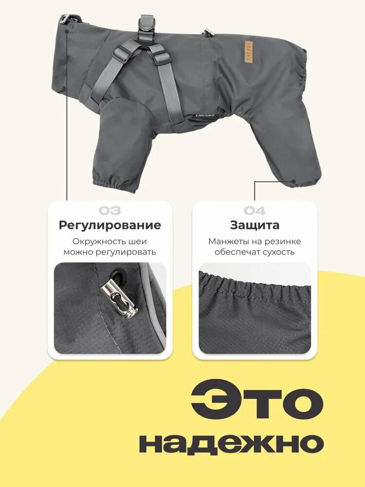 Одежда для животных — фото 1
