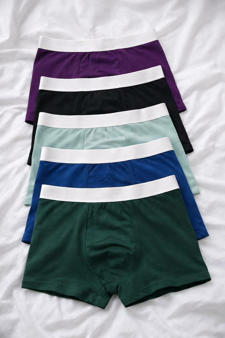 Трусы  боксеры из хлопка 5 шт, бельё для мужчин премиум класса, комплект