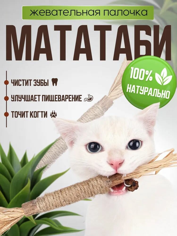 Палочка-грызак для кошек "Мататаби", для здоровья зубов, 14 см