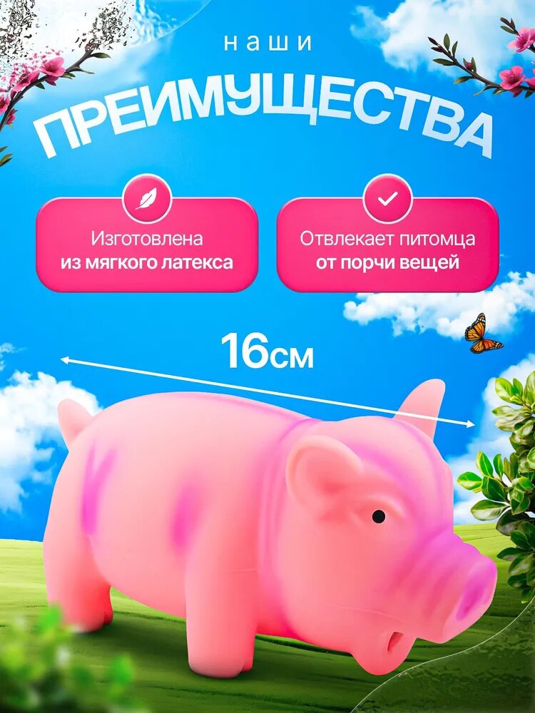 Хрюкающая свинья — фото 1