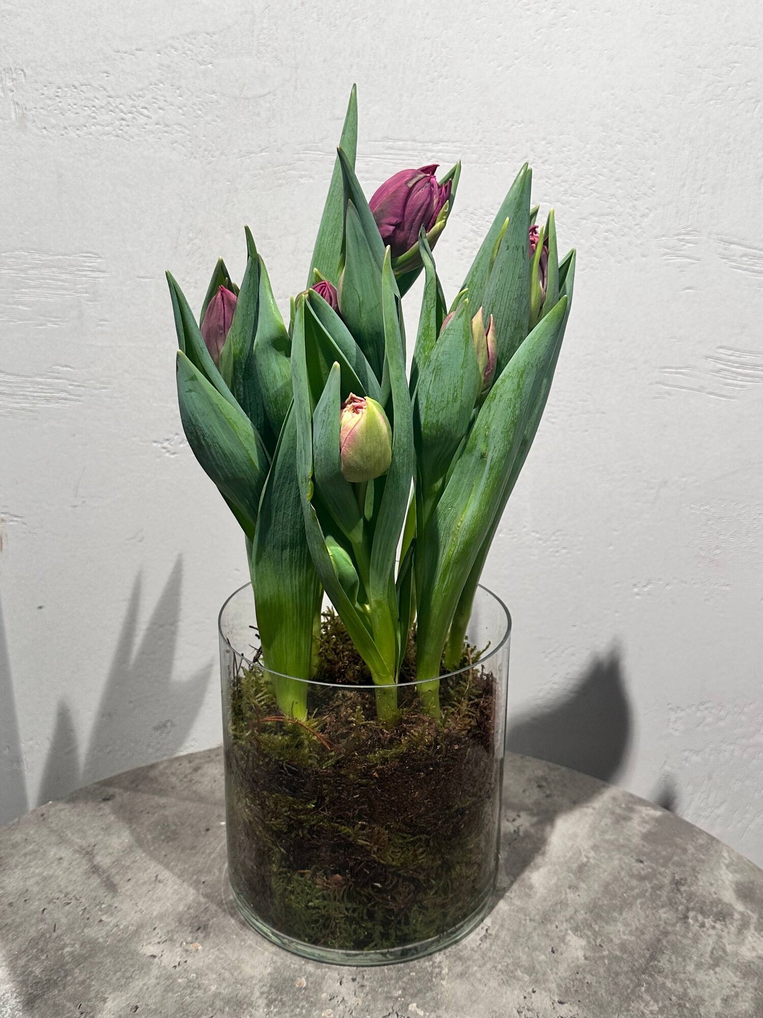 Композиция из живых тюльпанов с луковицами от студии klumba.moscow