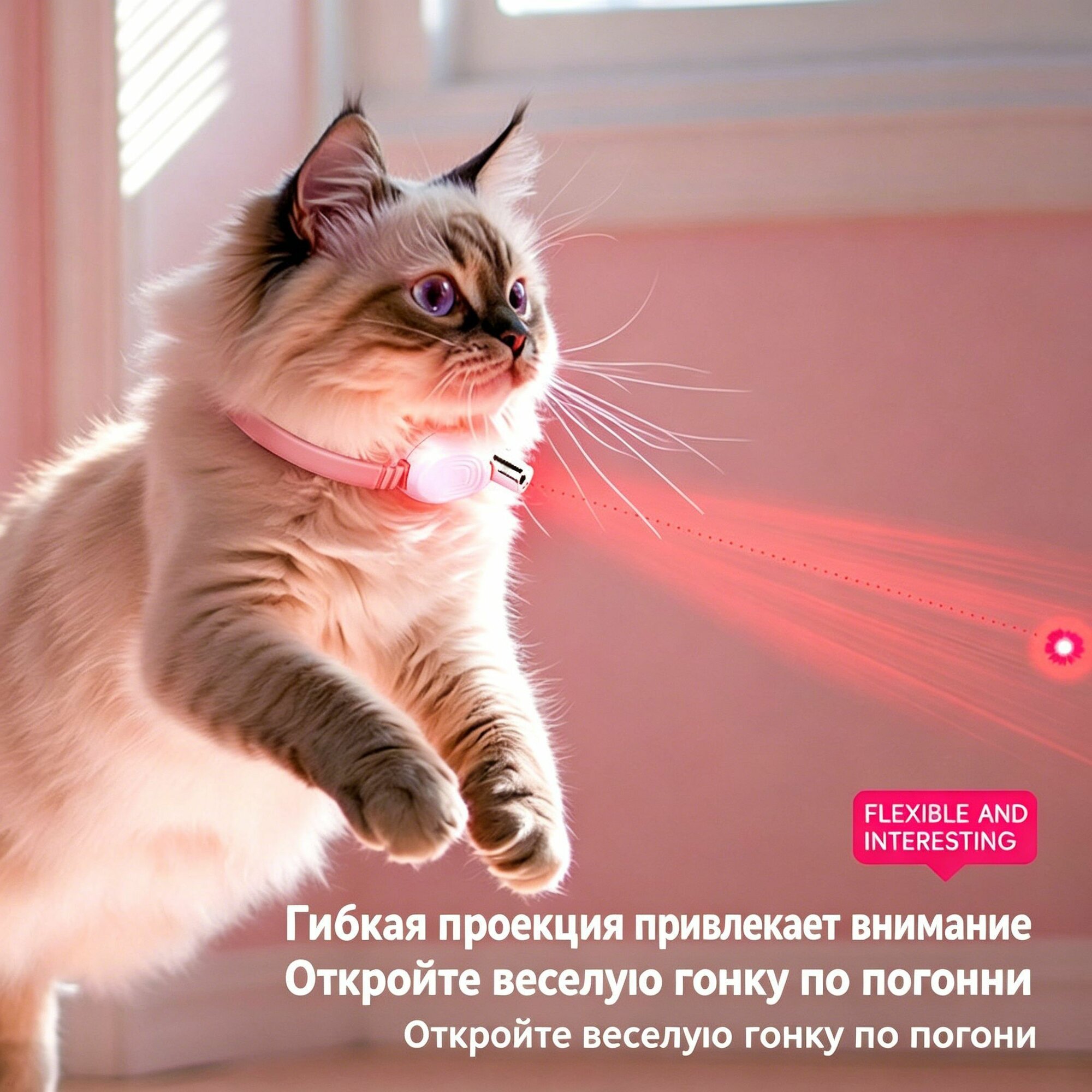 Игрушка-ошейник Для Кошки — фото 1
