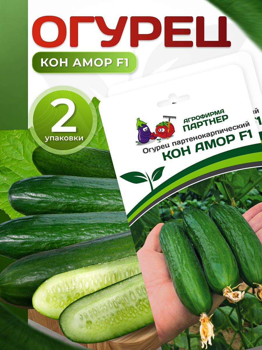 Семена огурцов - Кон Амор F1 длинные гладкие, среднеранний гибрид