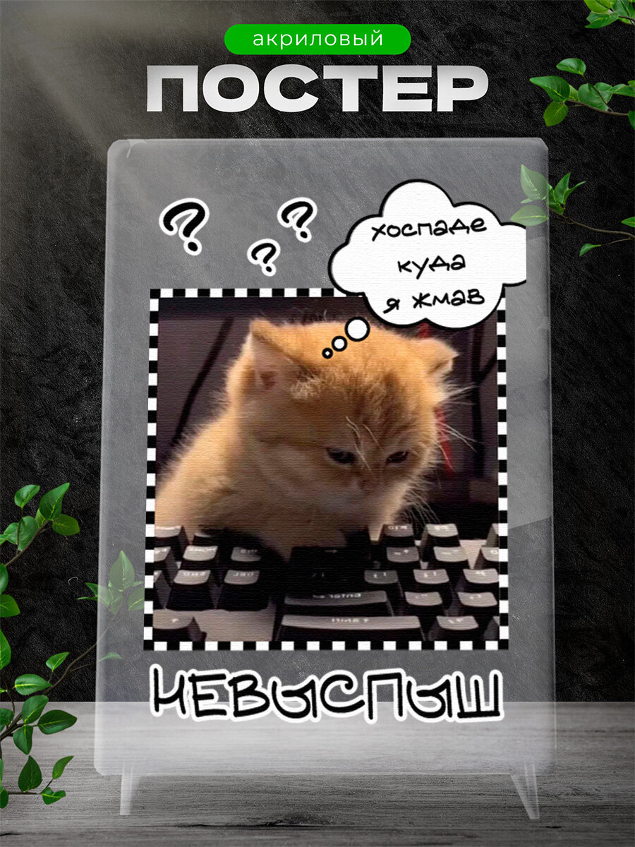 Акриловый постер, открытка подарочная на подставке с цветным принтом кот мем постер