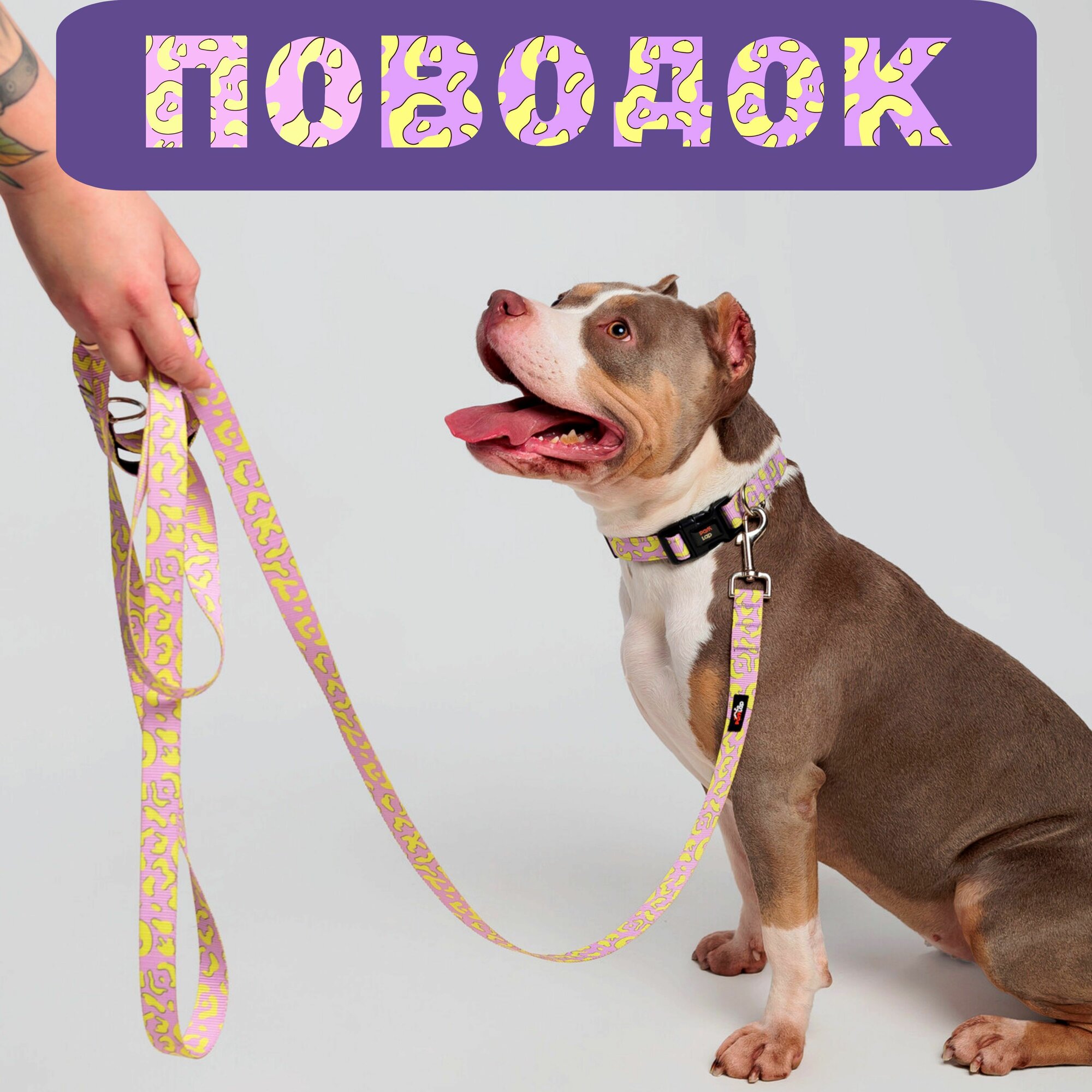 Нейлоновый поводок с подкладом из неопрена, Анимал, М, 1.5м