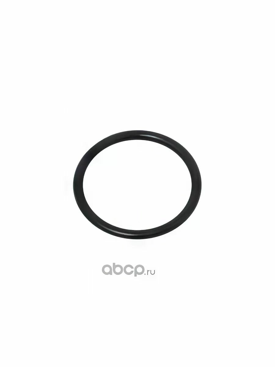 Кольцо уплотнительное Nissan PATHFINDER (R51) ()