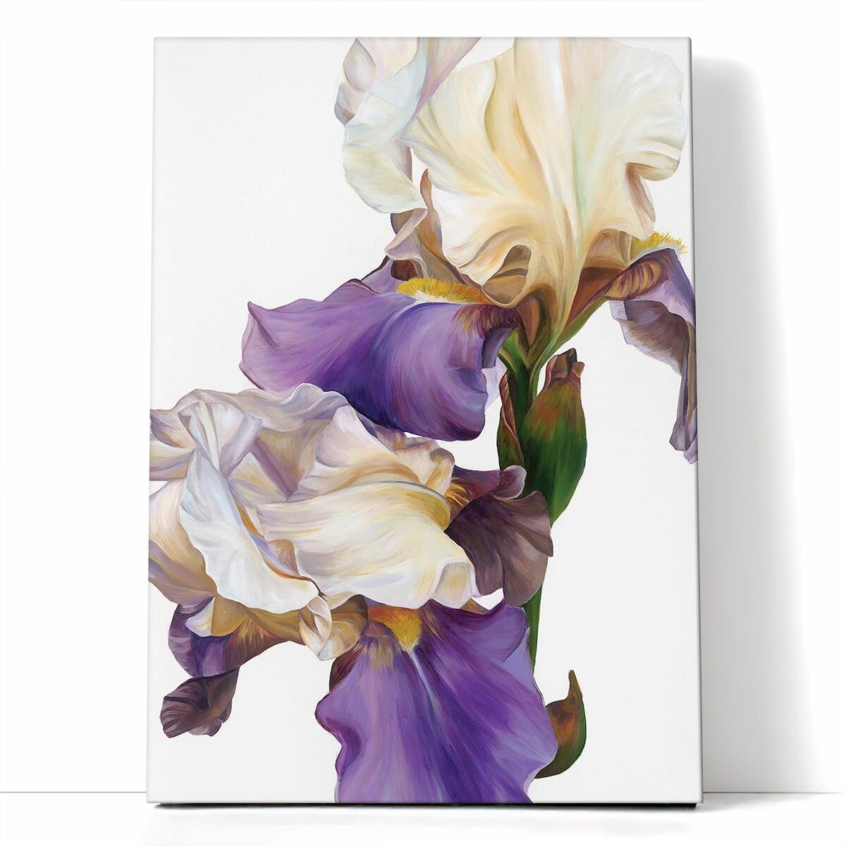 Интерьерная картина на хлопковом холсте - Ирис акварелью на белом фоне