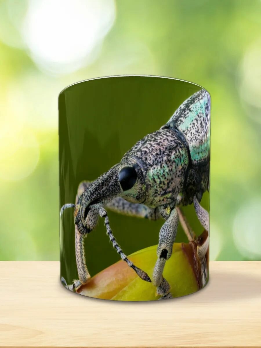 Кружка Светло-зелёный жук-слоник