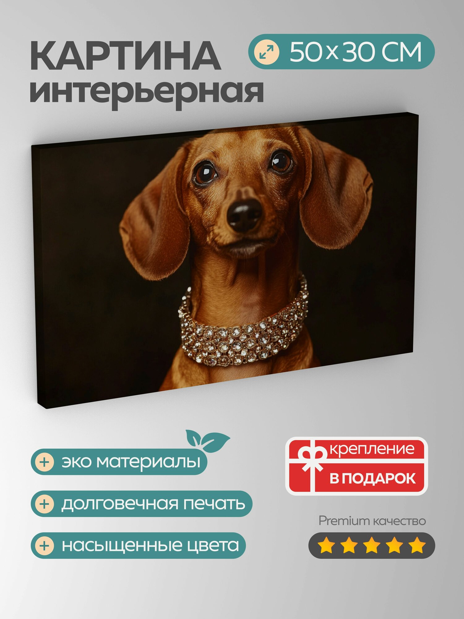 Картина на холсте интерьерная 50х30 см, Такса, ошейник, кристаллы Swarovski, высокое разрешение, студия