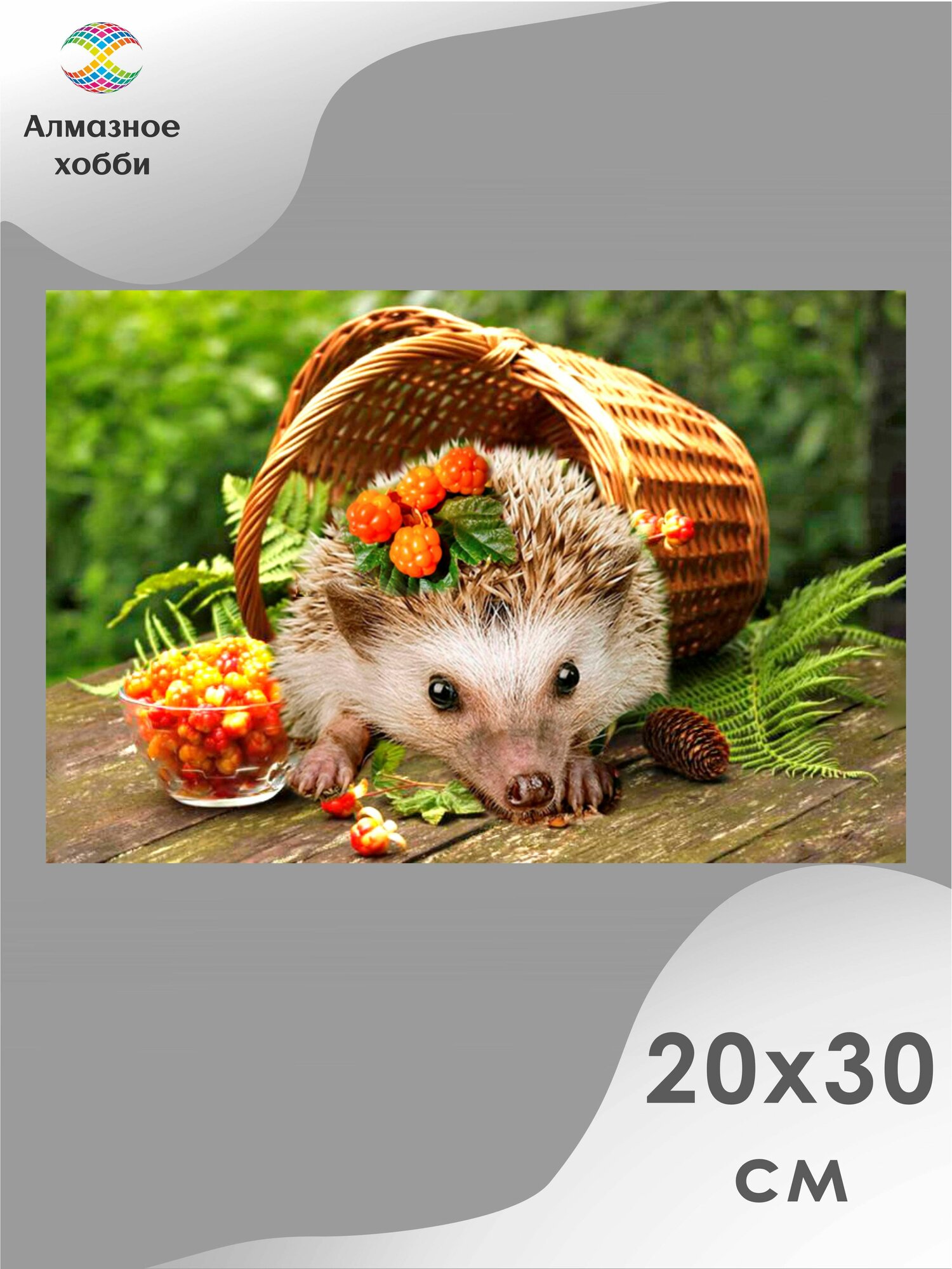 Алмазная мозаика Сладкая морошка 20х30 без подрамника