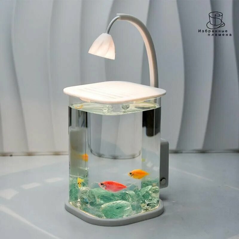 Аквариум "A", с подсветкой, панорамный, 24,5 см, белый/зеленый