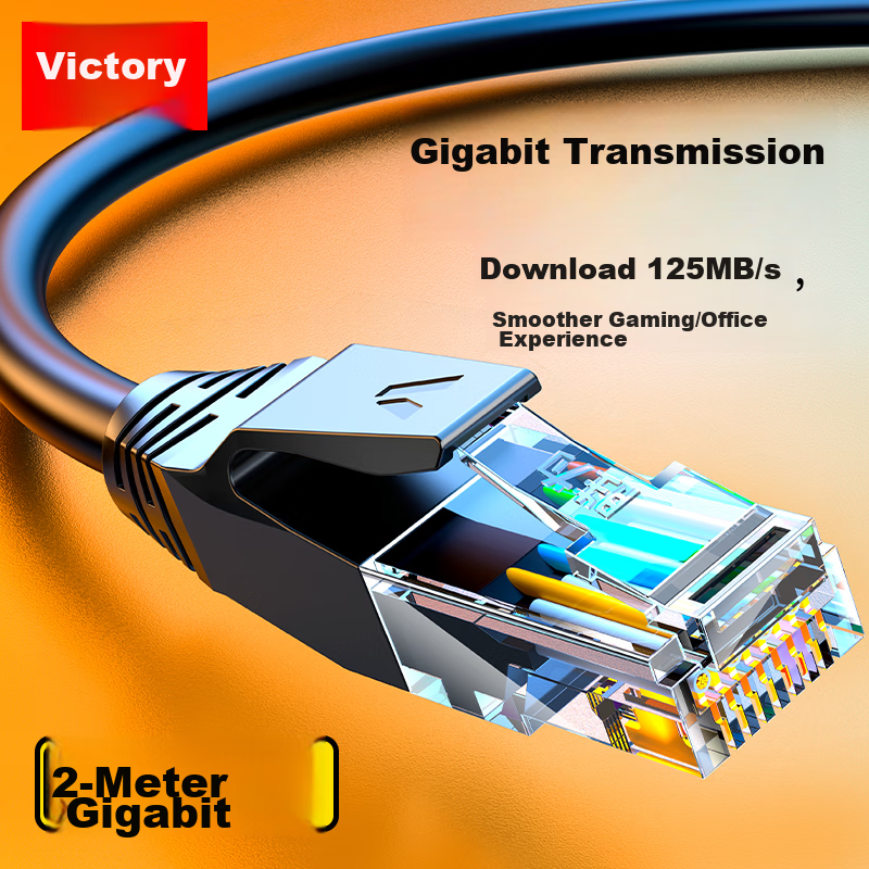 Shengwei Cat6 Gigabit Ethernet Cable, Pure Copper, 2 Meters, Unshielded 8-Core Twisted Pair, for Computer Broadband, Home Surveillance, Patch Cord, LC-6020G