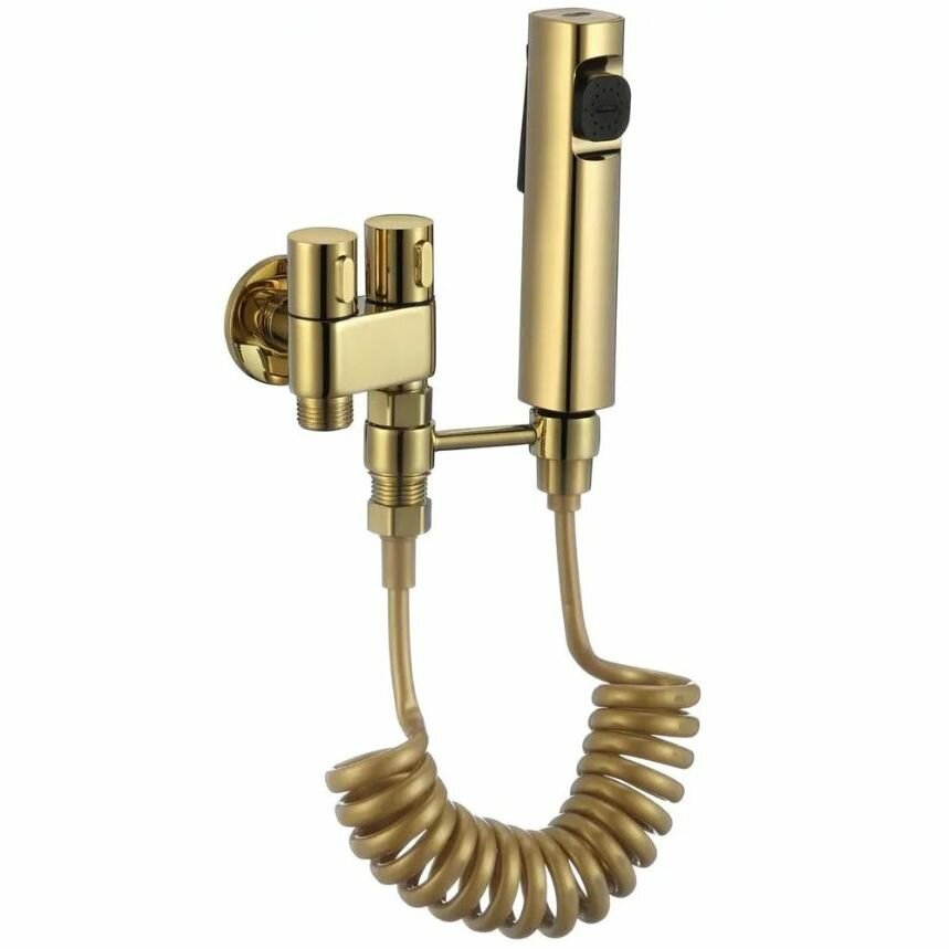 Смеситель для биде Fmark (Фмарк) FS-FXQ02B, золото