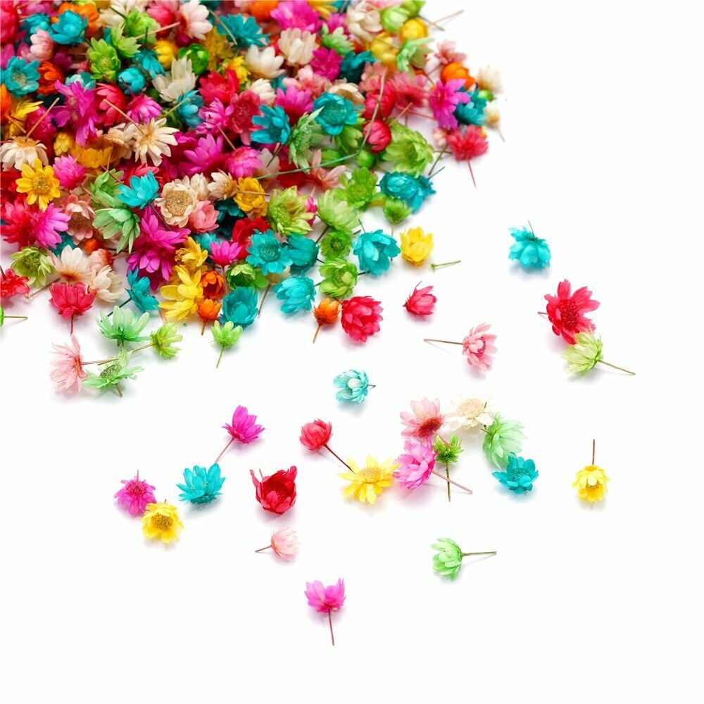 Сухоцветы для эпоксидной смолы, изготовления украшений, авторских изделий и свечей из воска,4 гр, около 140 штук