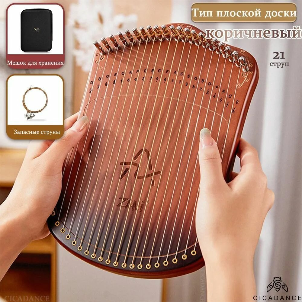 Струнный инструмент