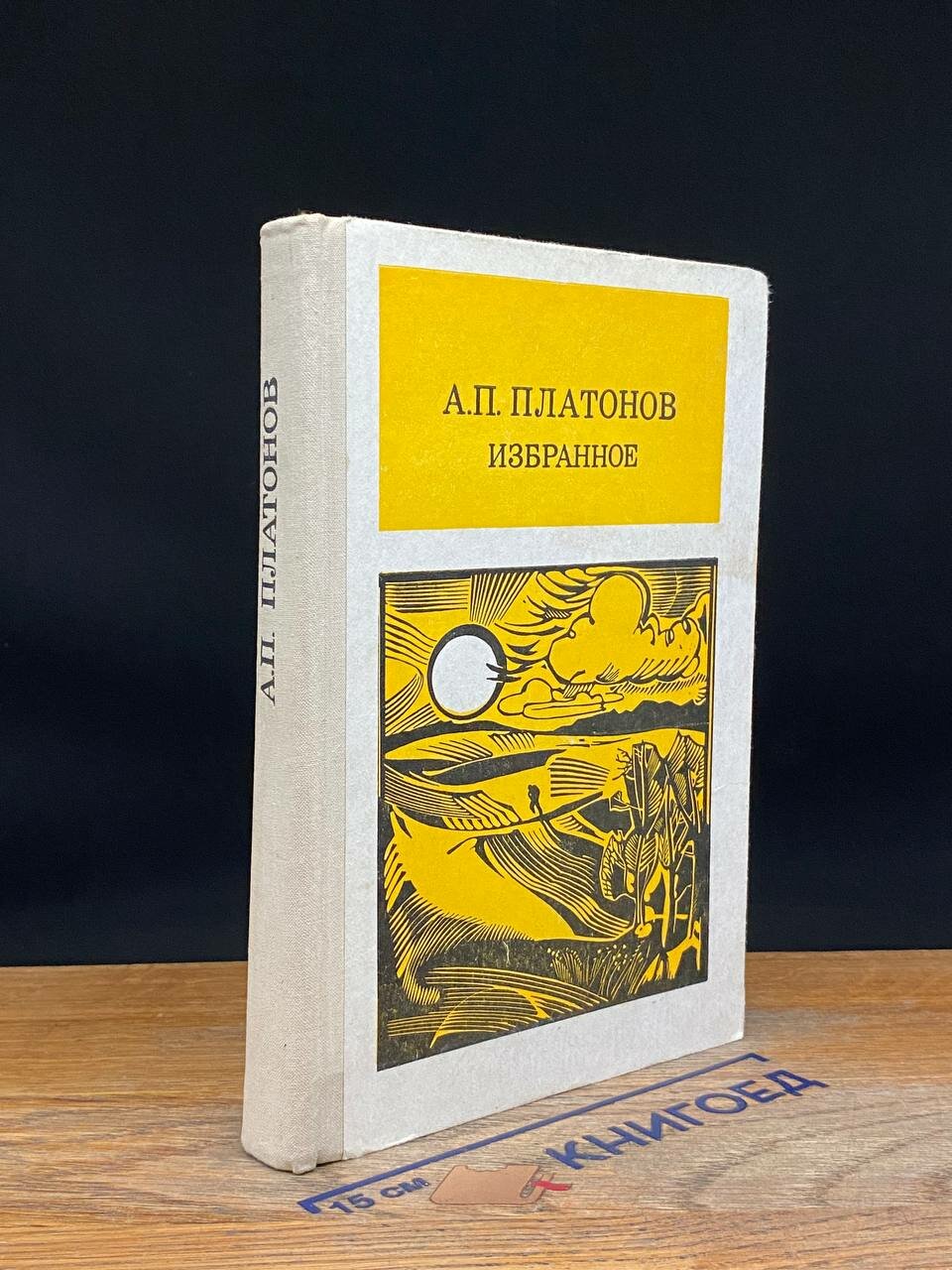 Книга. А. П. Платонов. Избранное 1989 (2044021993970)