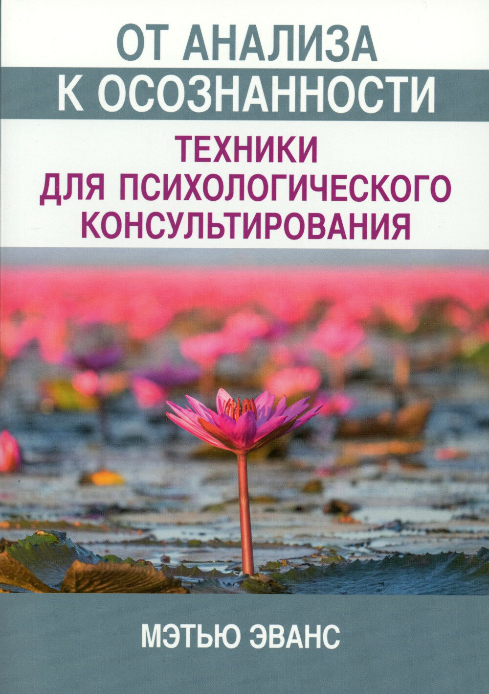 От анализа к осознанности: техники для психологического консультирования. Эванс М. Диалектика