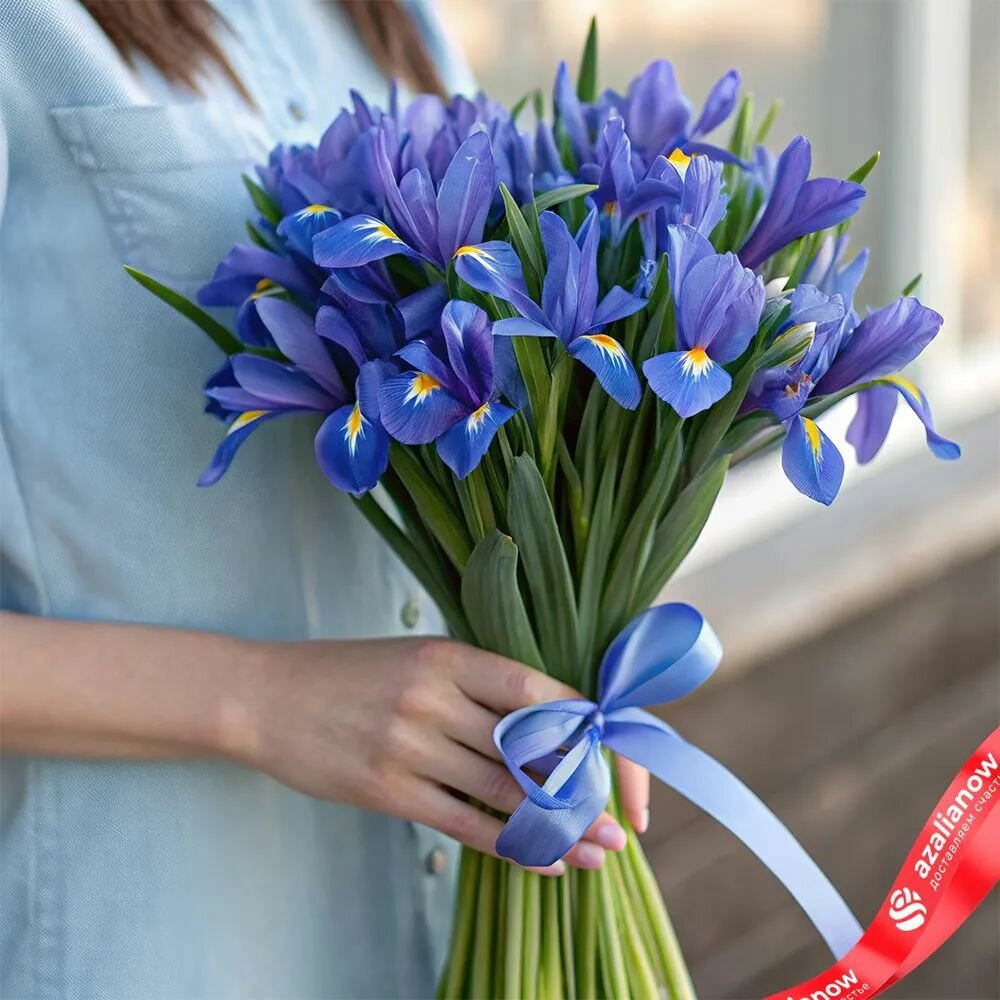 Букет из 25 ирисов 40 см с синей атласной лентой от АзалияНау