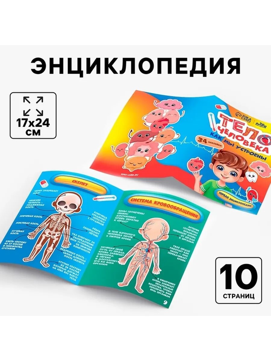 Образовательный набор «Тело человека» для малышей